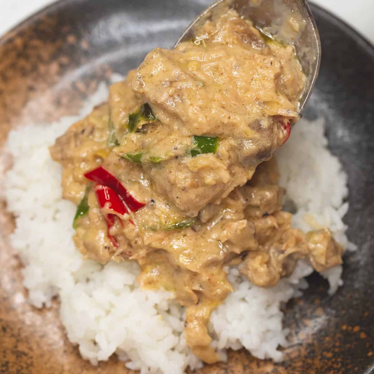 Bicol Province Foods