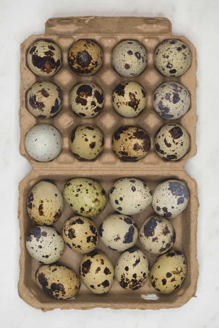 Quail Eggs (Itlog ng Pugo)