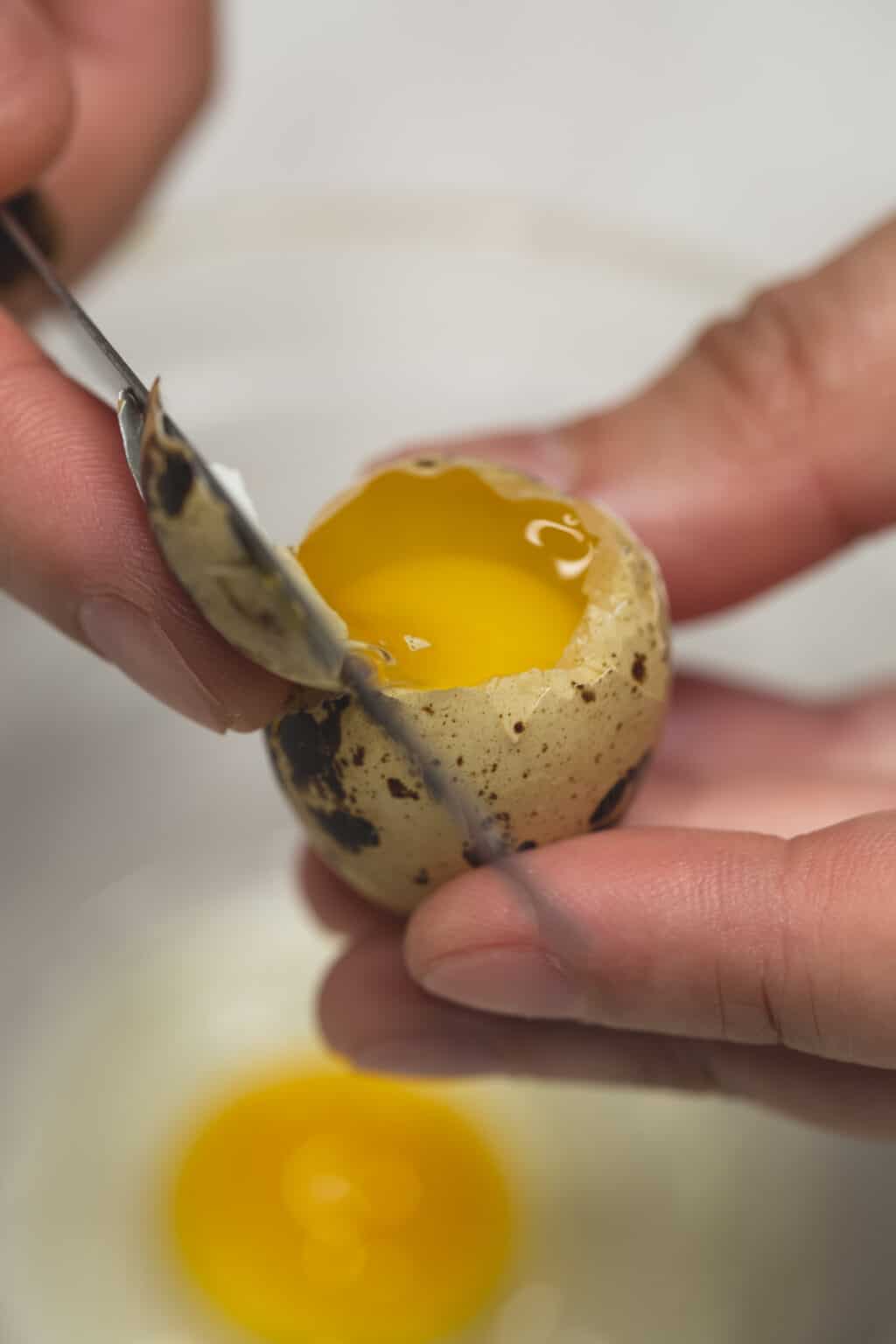 Quail Eggs (Itlog ng Pugo) Quail Eggs (Itlog ng Pugo)