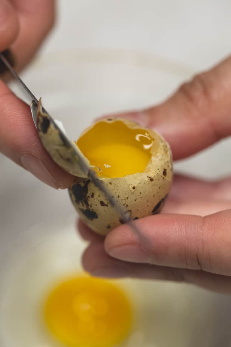 Quail Eggs (Itlog ng Pugo)