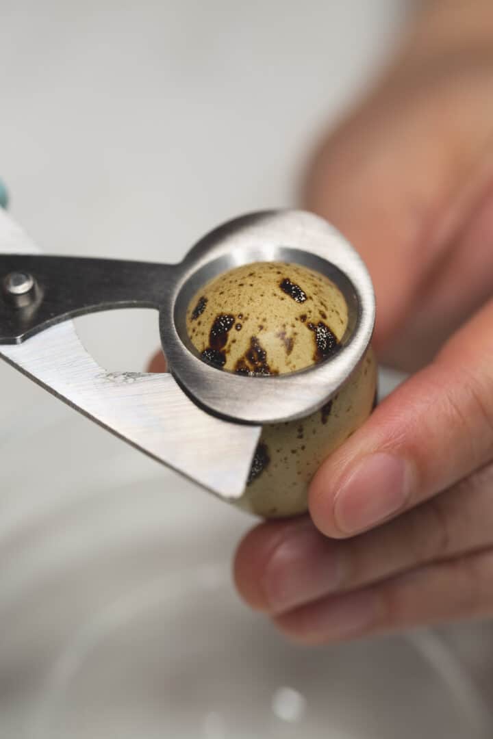 Quail Eggs (Itlog ng Pugo)