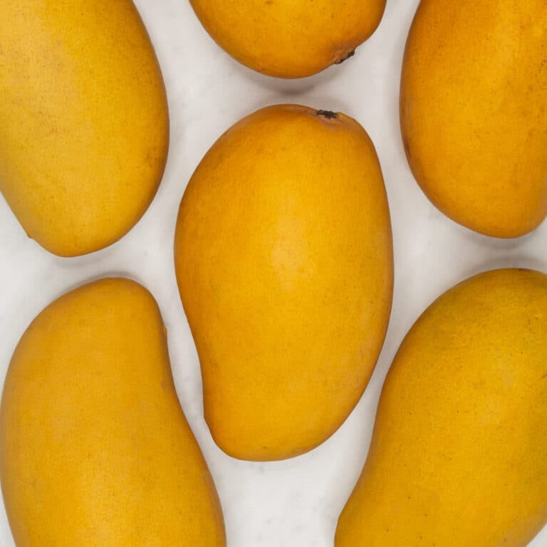 Philippine Mangoes