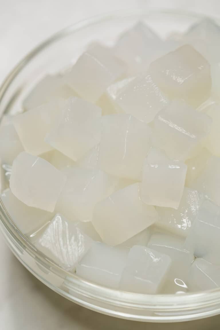 What is Nata de Coco?
