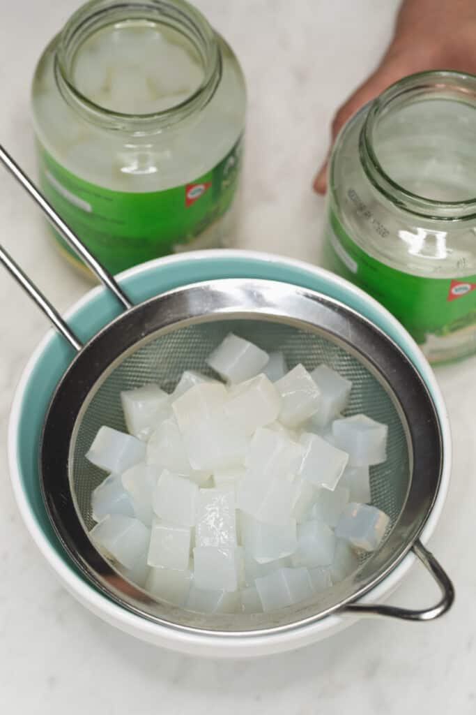 What is Nata de Coco?