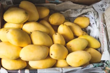 Philippine Mangoes