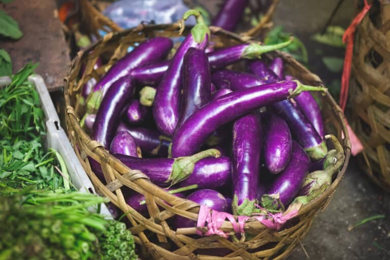 Eggplant (Talong): What it is and How it’s Used in Filipino Cooking