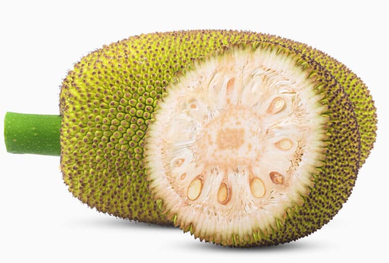 Jackfruit (Langka): What it is and How to Use it