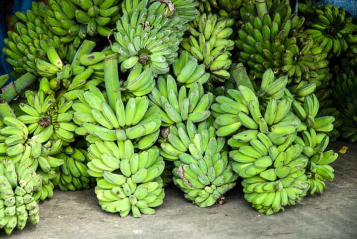 Saba Bananas: What They Are and How They’re Used in Filipino Cooking