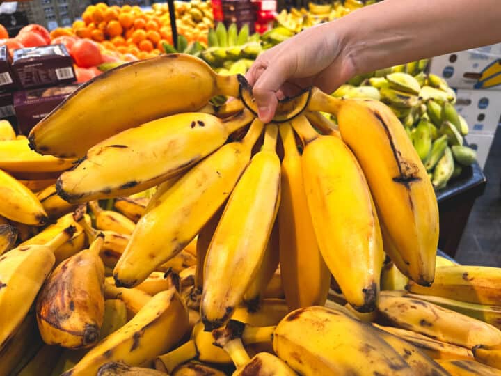 Saba Bananas: The Cooking Bananas