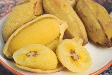Saba Bananas: The Cooking Bananas