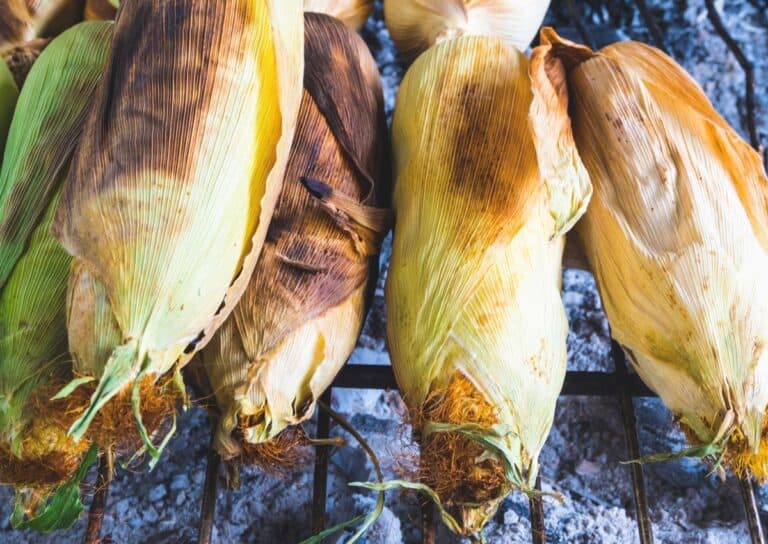 Corn (Mais): Types of Corn and How it’s Used in Cooking