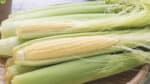 Corn (Mais): Types of Corn and How it’s Used in Cooking