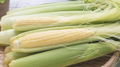 Corn (Mais)