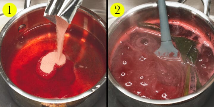 Agar-Agar: The Plant-Based Gelatin