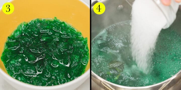 Agar-Agar: The Plant-Based Gelatin