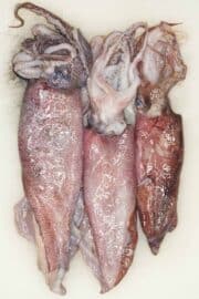 How to Clean Squid (Step-by-Step Guide with Pictures)