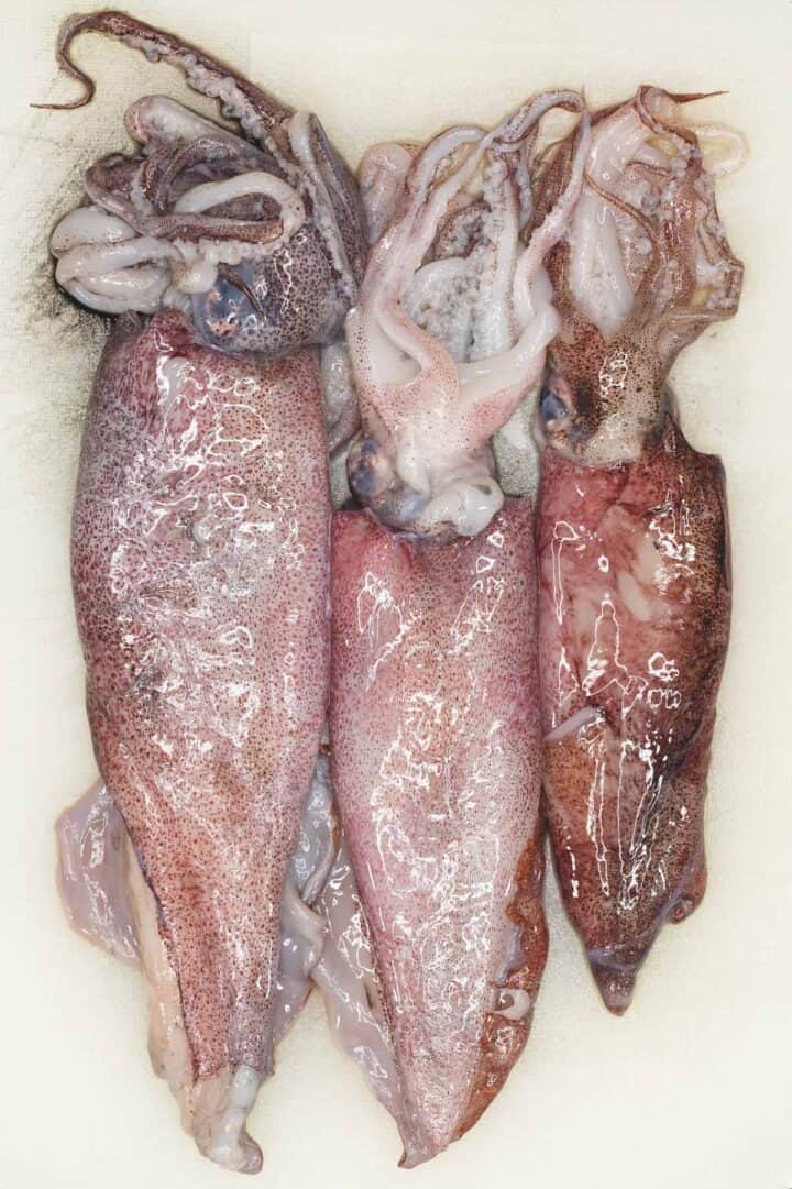 How to Clean Squid (Step-by-Step Guide with Pictures)