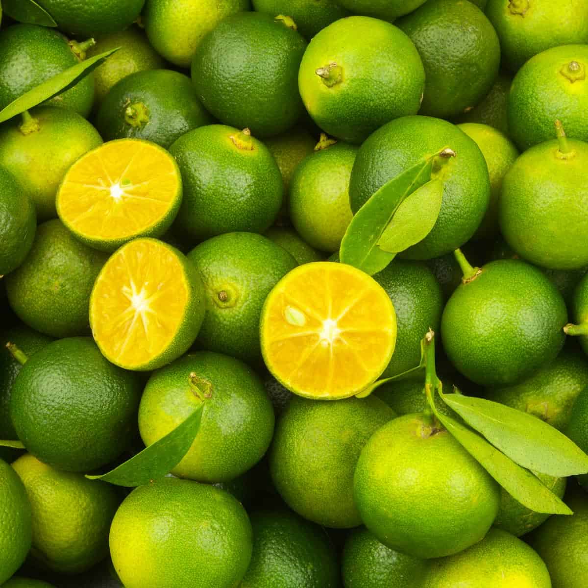 Calamansi: Filipino Citrus Fruit