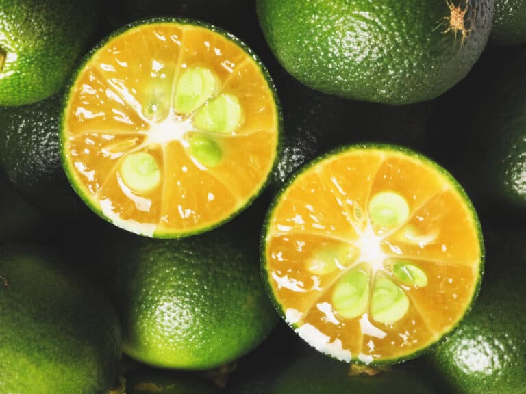 Calamansi: Filipino Citrus Fruit