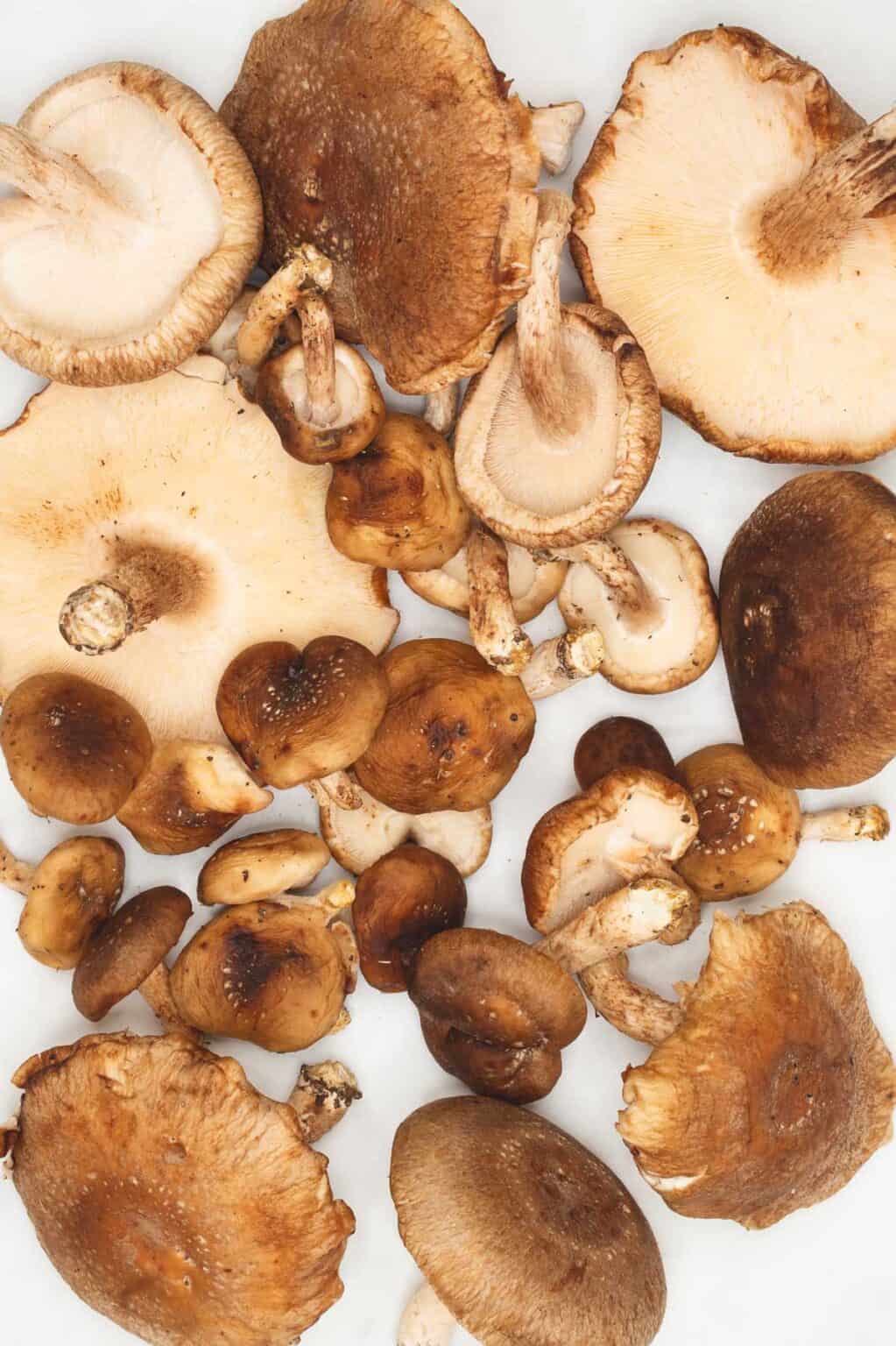 Shiitake Mushrooms