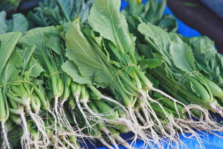 Exploring Unique Filipino Vegetables