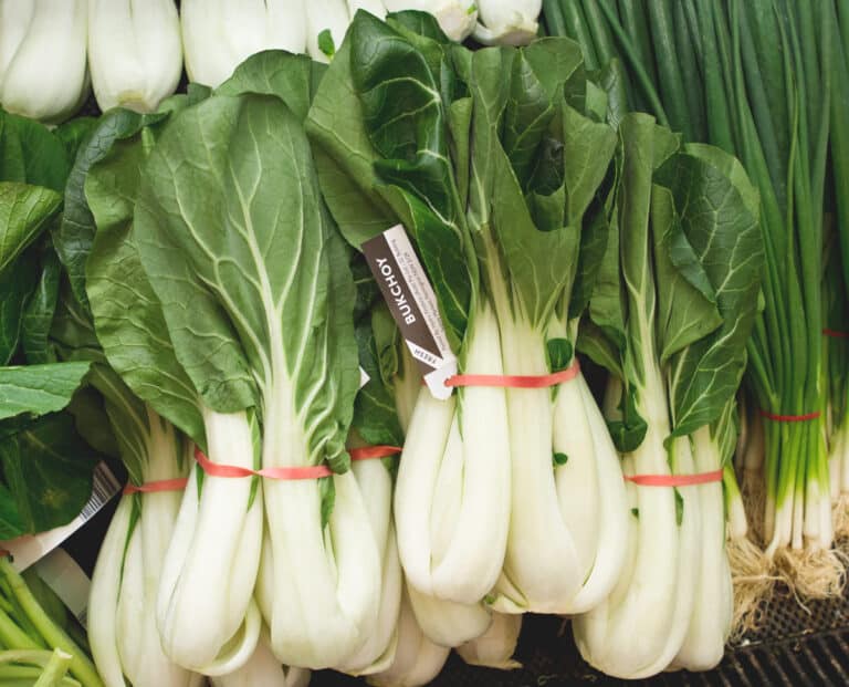 Exploring Unique Filipino Vegetables