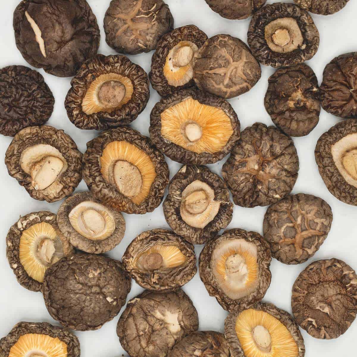 Shiitake Mushrooms: Fresh vs Dried and How to Cook Them