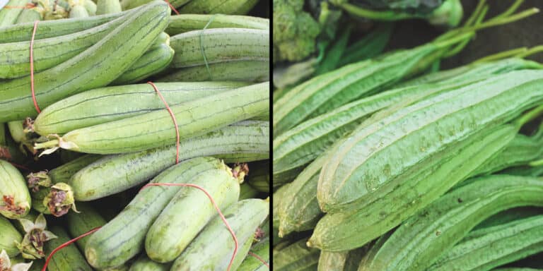 Exploring Unique Filipino Vegetables