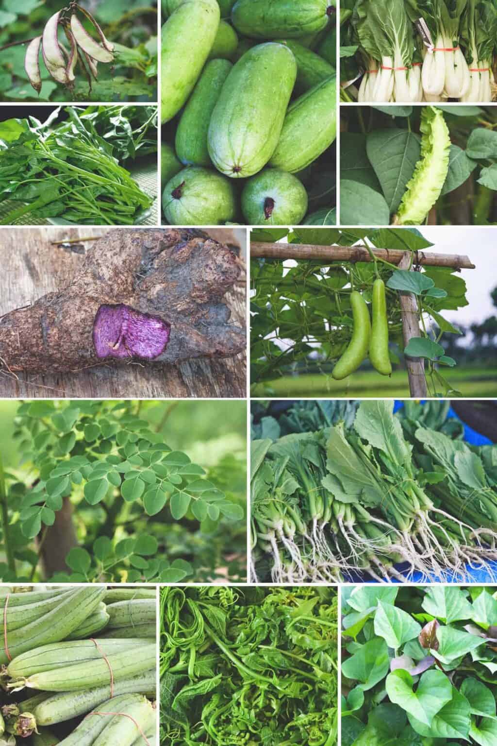 Exploring Unique Filipino Vegetables