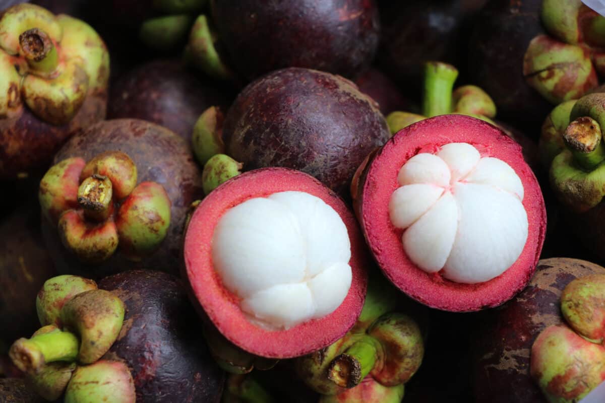 Exploring Unique Filipino Fruits