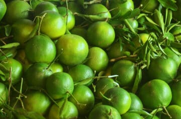 Unique Filipino Fruits (and How to Eat Them)