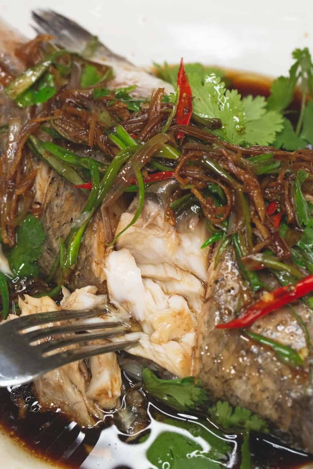 Steamed Fish with Ginger Recipe