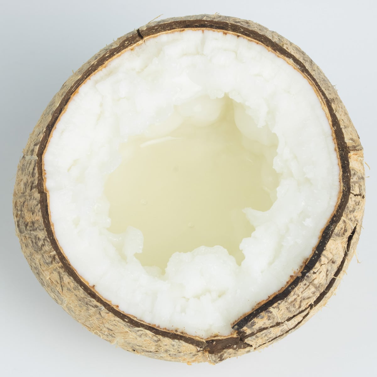 Macapuno: The Coconut Mutant