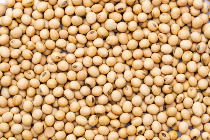 Soy Sauce (Toyo): A Filipino Kitchen Staple