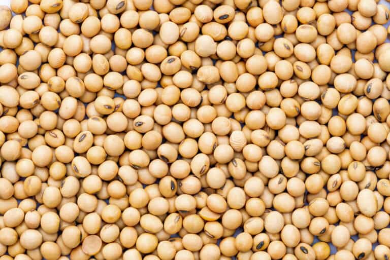 Soy Sauce (Toyo): A Filipino Kitchen Staple