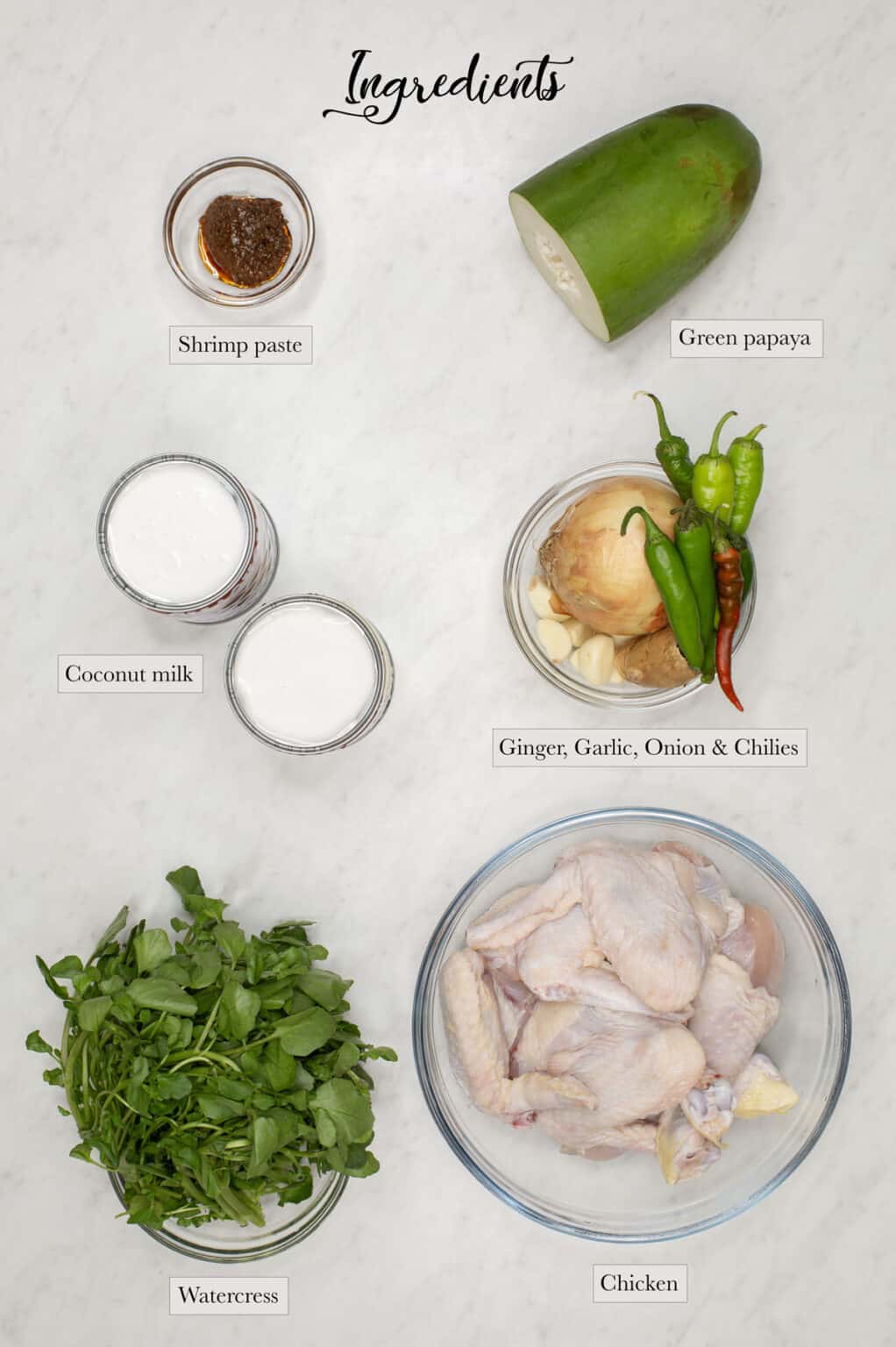 Ginataang Manok Recipe (Filipino Chicken in Coconut Milk)