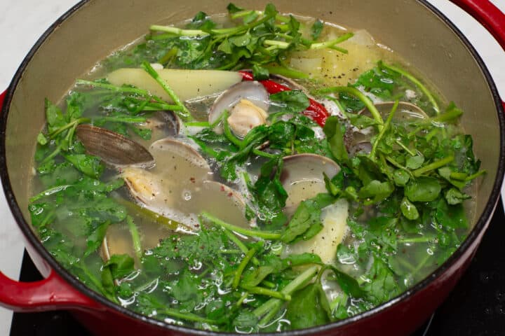 Filipino Clam Soup (Tinolang Halaan)
