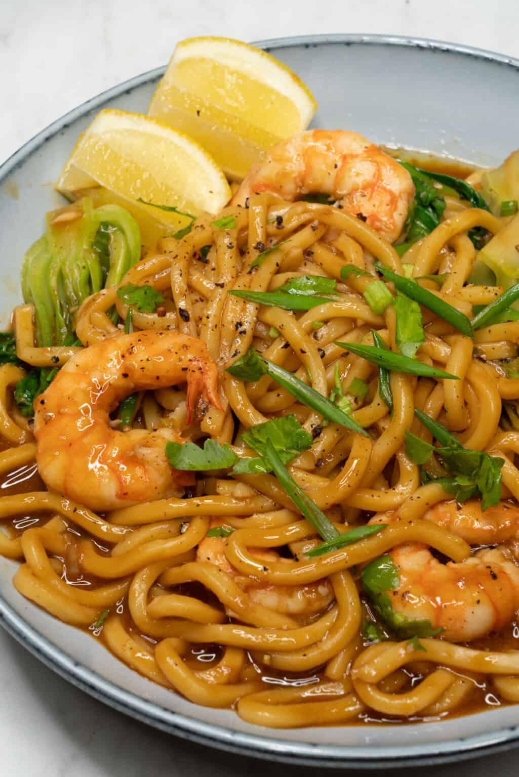 Pancit Chami with Shrimp (Fresh Miki Noodles)